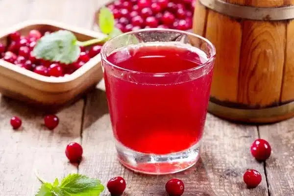 Los 15 Beneficios del Jugo de Arándano en Ayunas-Jugos Natura..